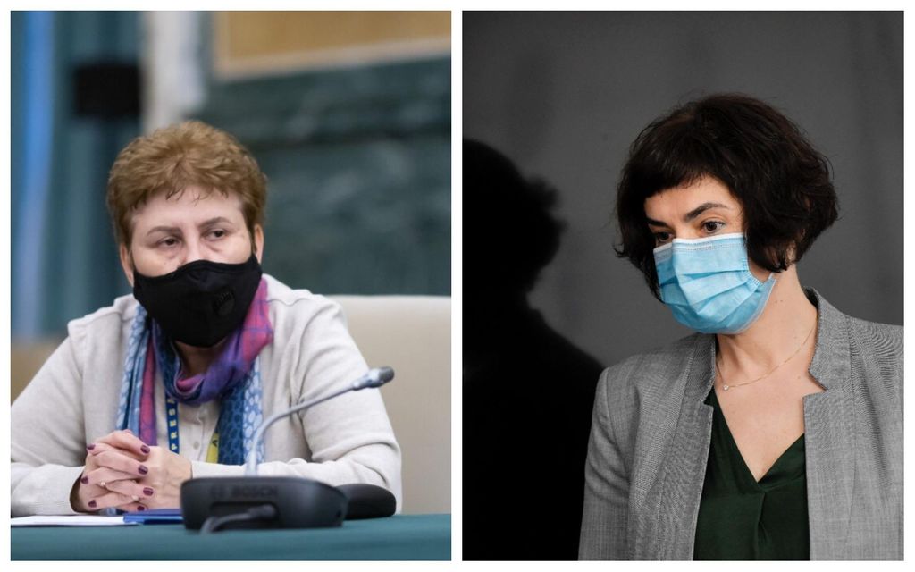 Andreea Moldovan a prezentat doar ideile principale din ordinul privind ...